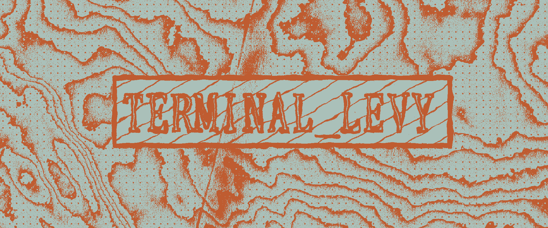 INDEX / LANDING PAGE / TERMINAL_LEVY